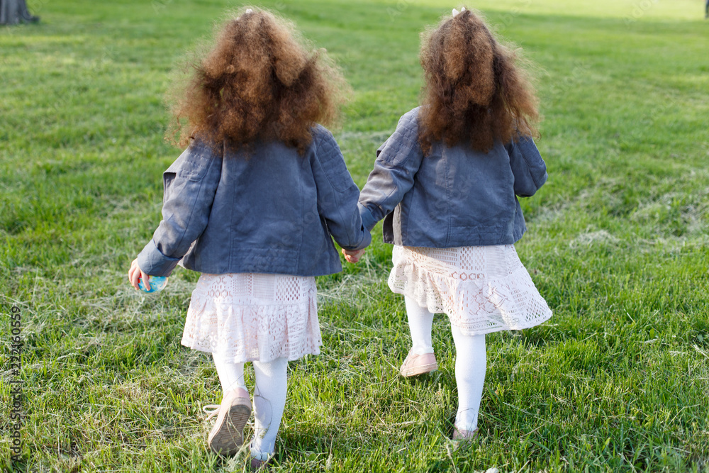 Grass background. Two twins girls hand in hand walking on the meadow in ...