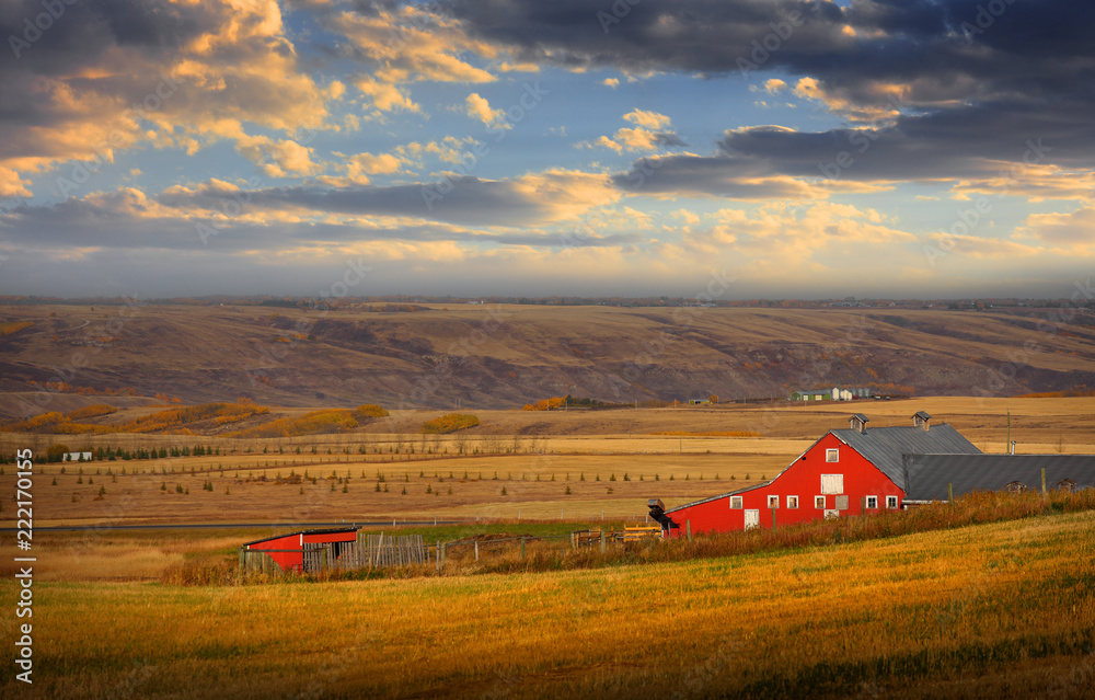 Barn in the middle of Prairies in Alberta Stock Photo | Adobe Stock