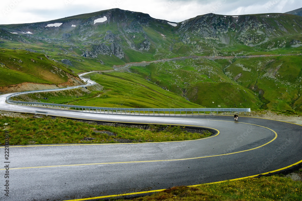 Transalpina road is the highest road in Romania. It’s one of the famous ...