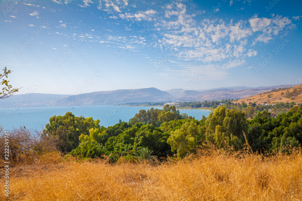 Seashore in Tabgha, Sea of Galilee, beautiful nature of Israel Stock ...