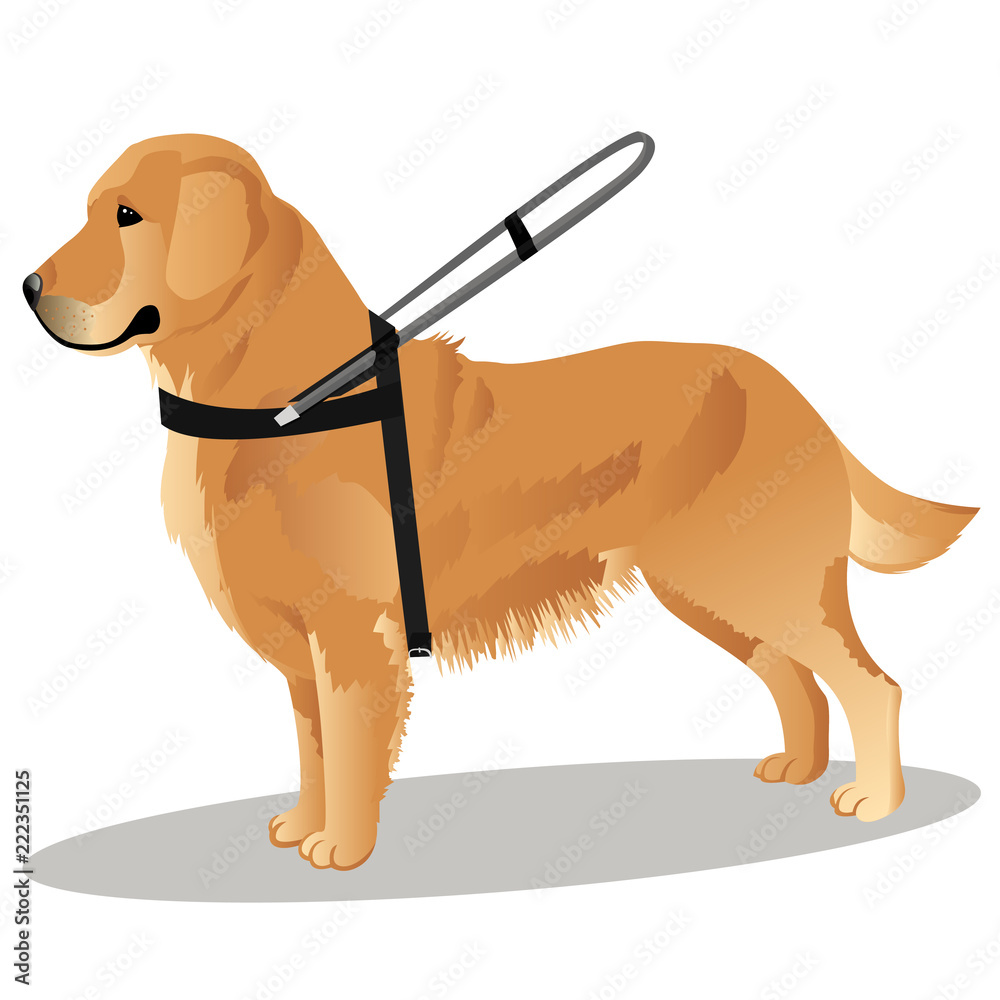 guide dog retriever Stock Vector | Adobe Stock