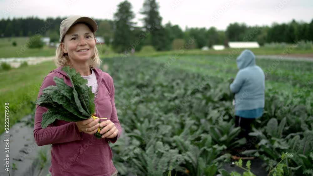 Blonde female holding a bunch of kale watches a farmer collecting ...
