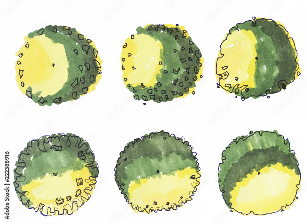tree Illustration for Design plan Of architecture and landscape. tree top view watercolor ...
