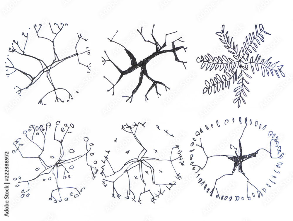 top view set graphic trees.for architecture and landscape design. for ...