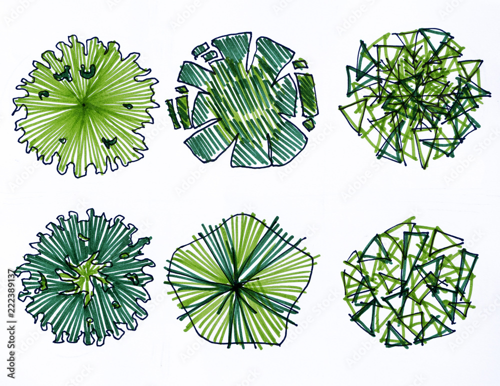 tree Illustration for Design plan Of architecture and landscape. tree top view watercolor ...