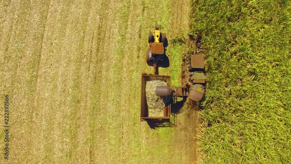 Sugar cane harvest. Ribeirão Preto, São Paulo. Aerial view of a ...