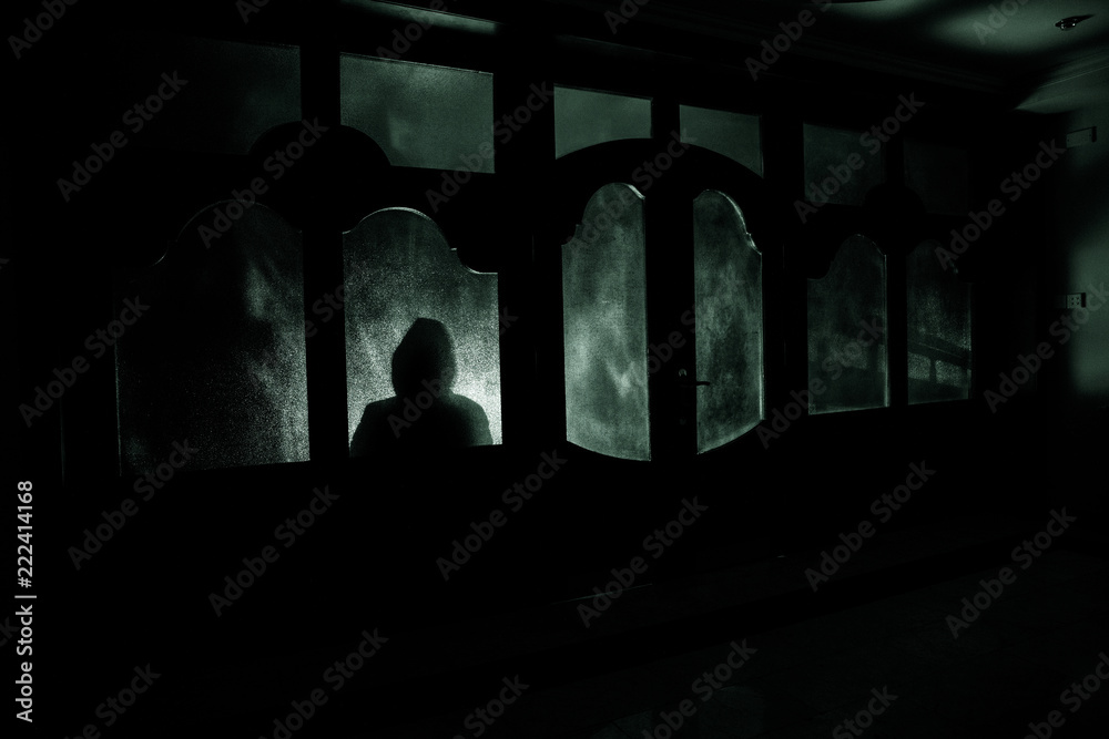 Silhouette of an unknown shadow figure on a door through a closed glass ...