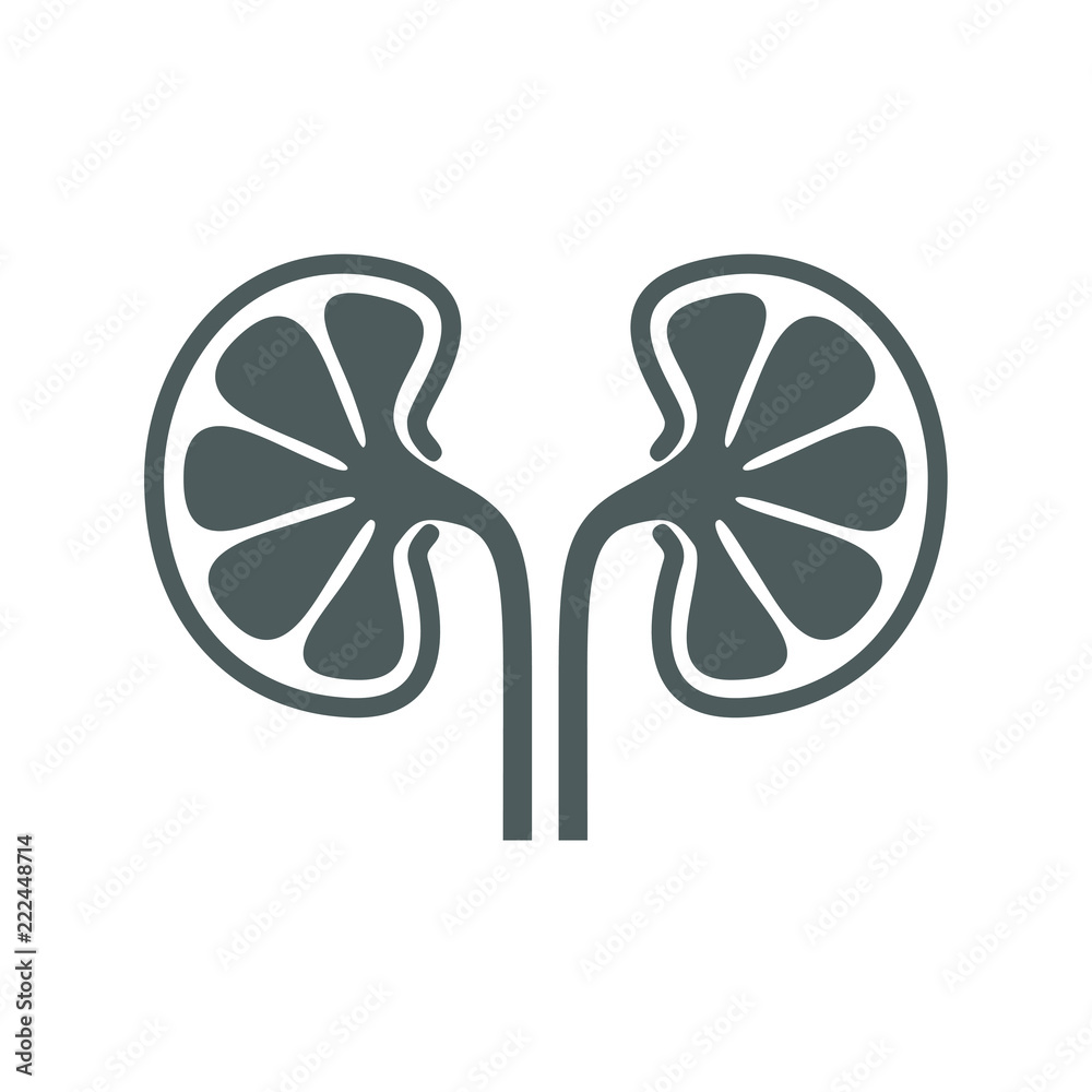 Kidneys human organ icon. Sign human kidneys. Kidneys symbol isolated ...