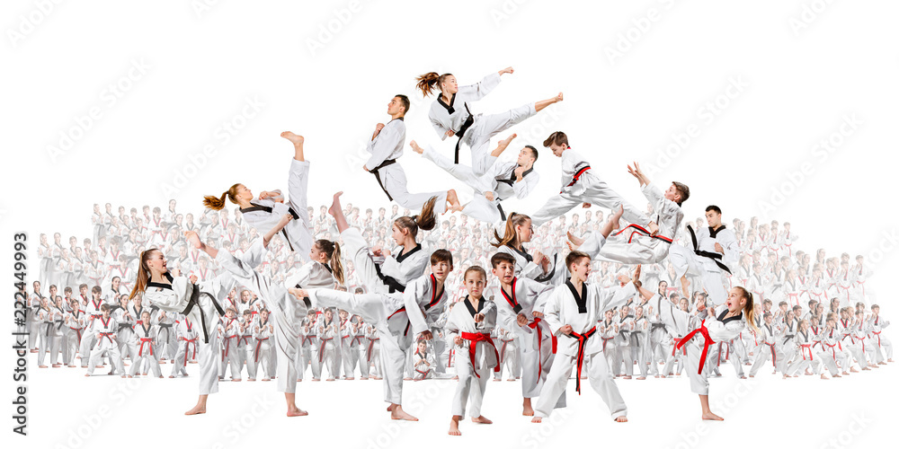 The collage about group of kids training karate martial arts and posing ...