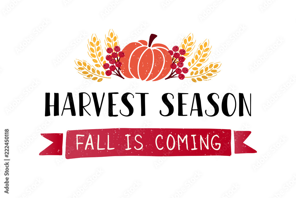 Harvest Season- hand drawn lettering phrase. Harvest fest poster design ...