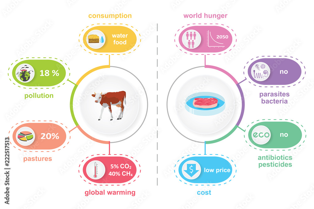 Cultured lab-grown meat infographics. Comparison of synthetic in vitro ...