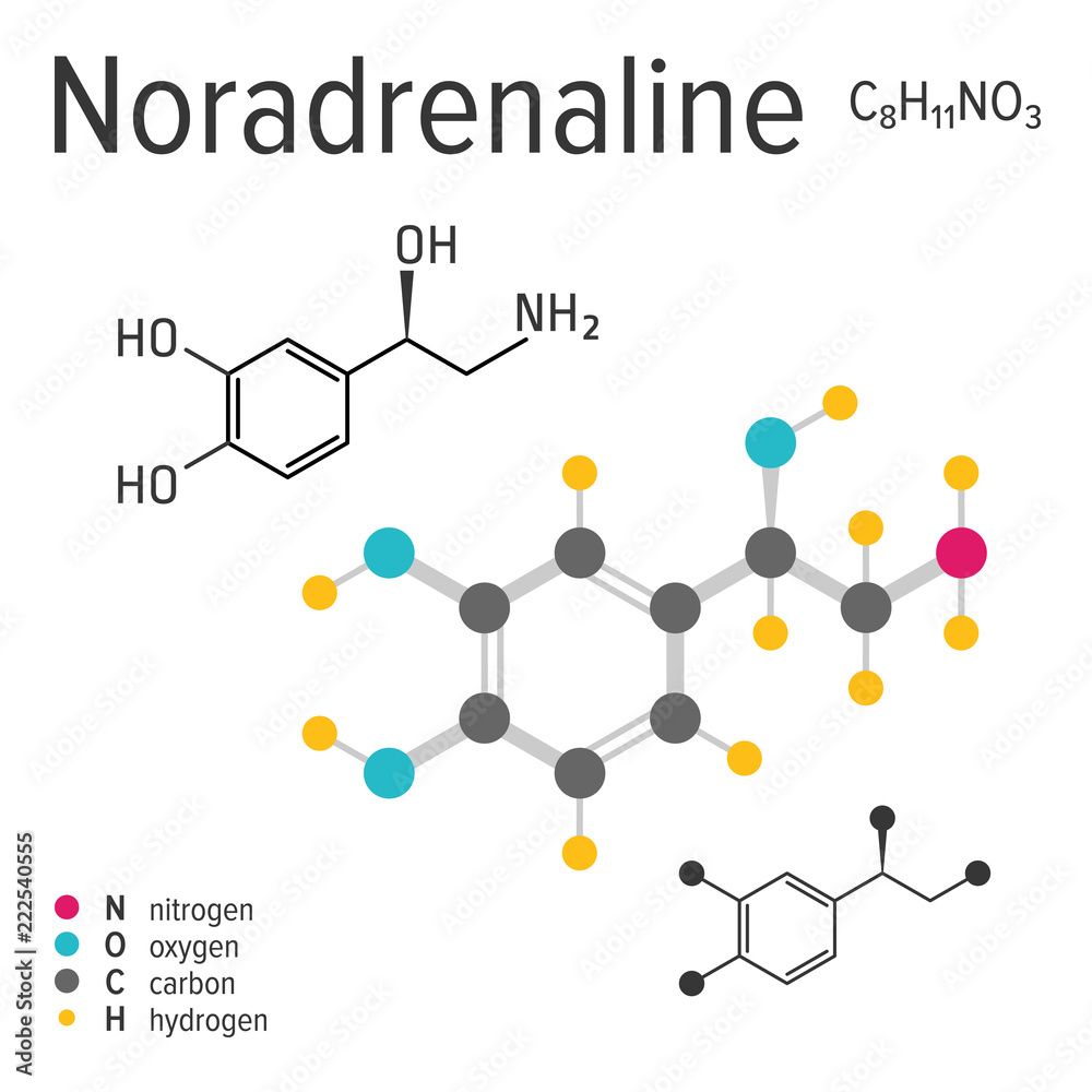 Chemical formula, structure and model of the noradrenaline molecule ...