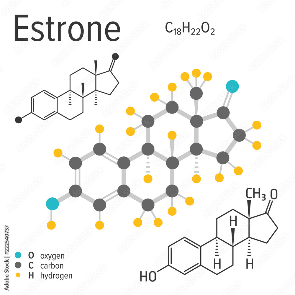 Chemical Formula Structure And Model Of The Estrone Molecule Vector