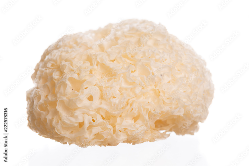 Dried snow fungus (Tremella fuciformis) on white background Stock Photo ...