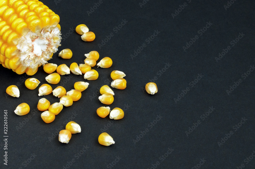 Sweet Corn Background