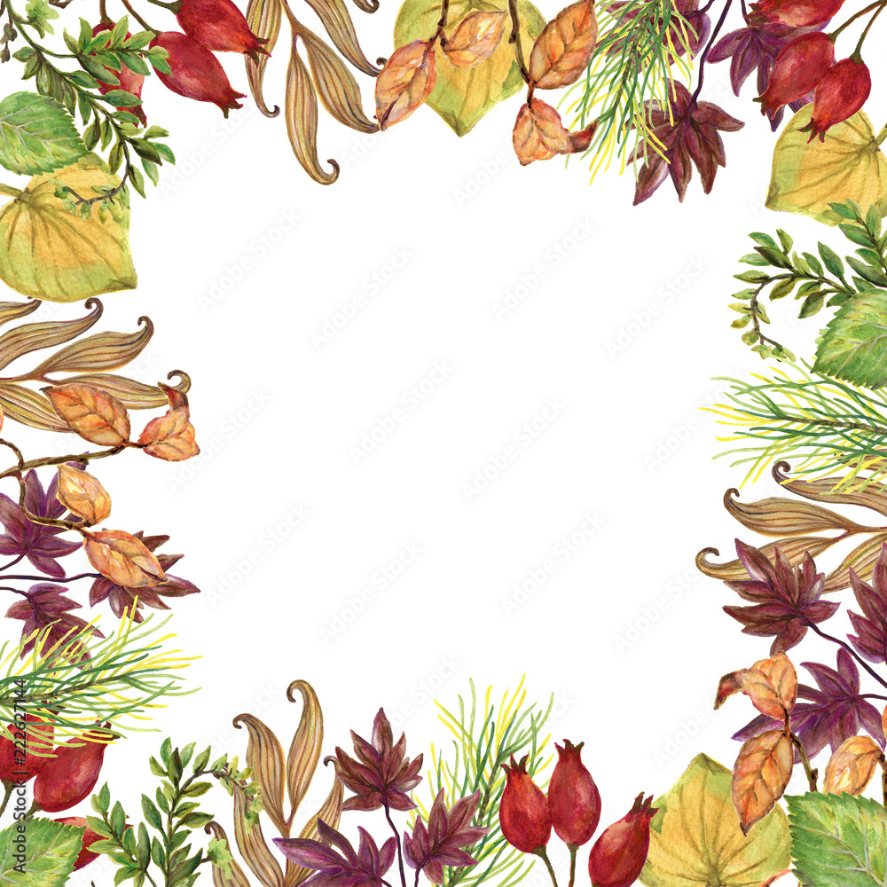 Autumn Leaves Drawing Border