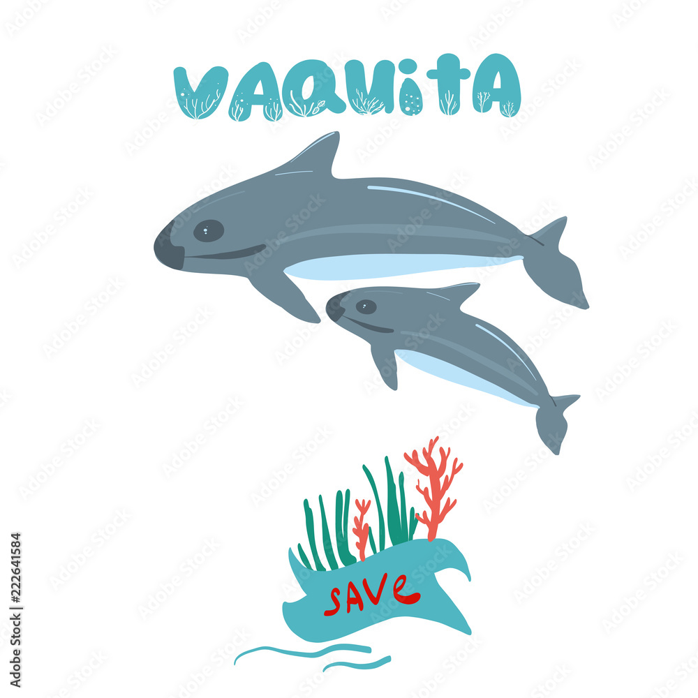 vaquita marina blue whale sealife vector illustration Stock Vector ...