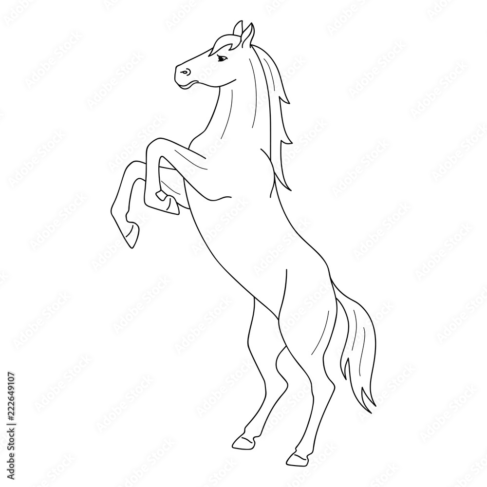 Drawings Of Horses Rearing Easy