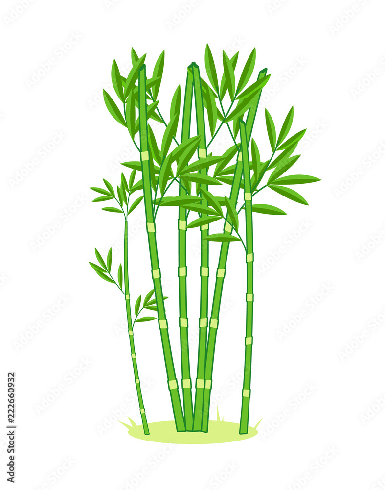 Light cartoon bamboo grove. Bamboo cartoon forest. Vector illustration ...
