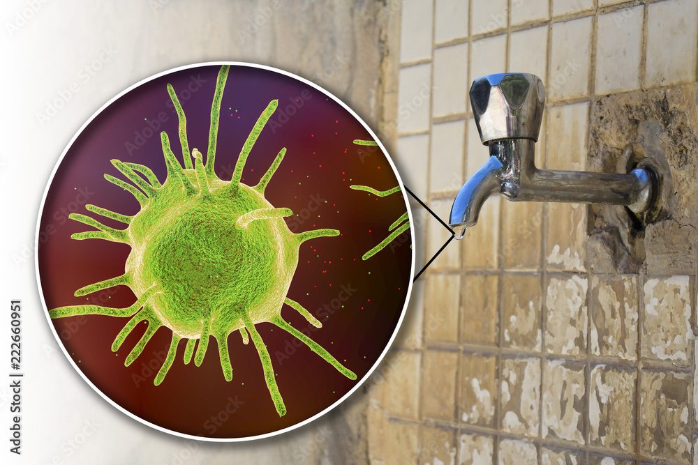Safety of drinking water concept, 3D illustration showing parasitic ...
