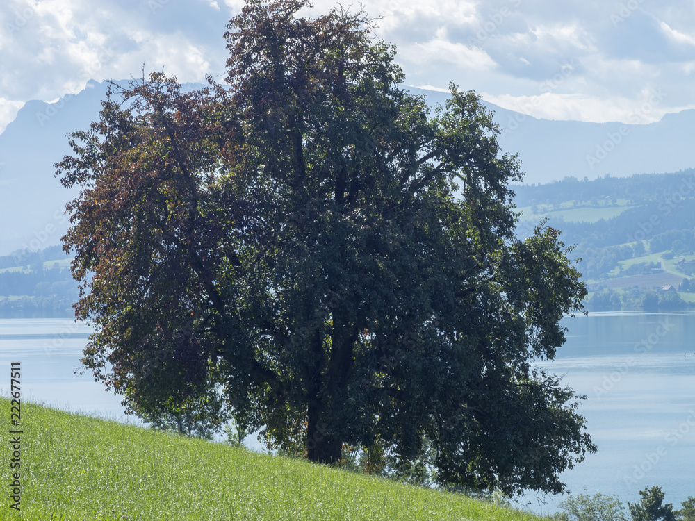 Randonnée autour du lac de Sempach (Sempachersee) dans le canton de ...