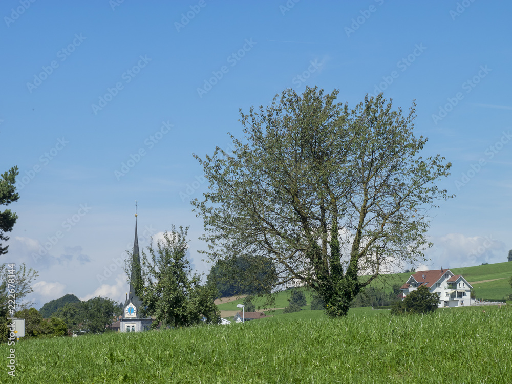 Randonnée autour du lac de Sempach (Sempachersee) dans le canton de ...
