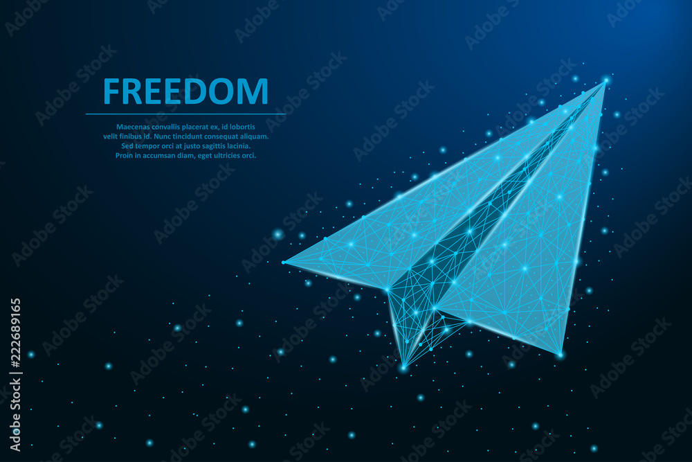 Paper airplane made by points and lines, polygonal wireframe mesh on ...