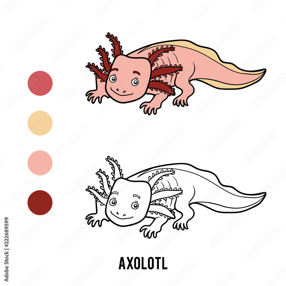 Coloring book, Axolotl Stock Vector | Adobe Stock