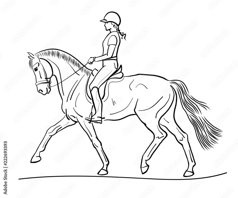 Equestrian sport dressage. A sketch of a horsewoman on a horse. Stock ...
