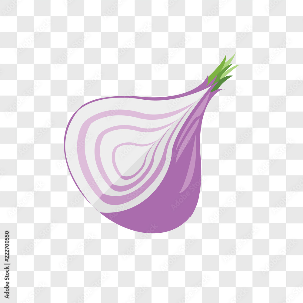 onion icons isolated on transparent background. Modern and editable ...