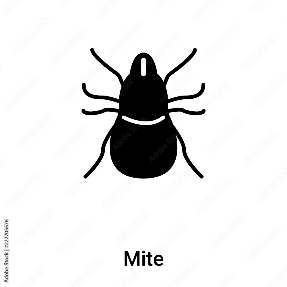 Mite icon vector isolated on white background, logo concept of Mite ...