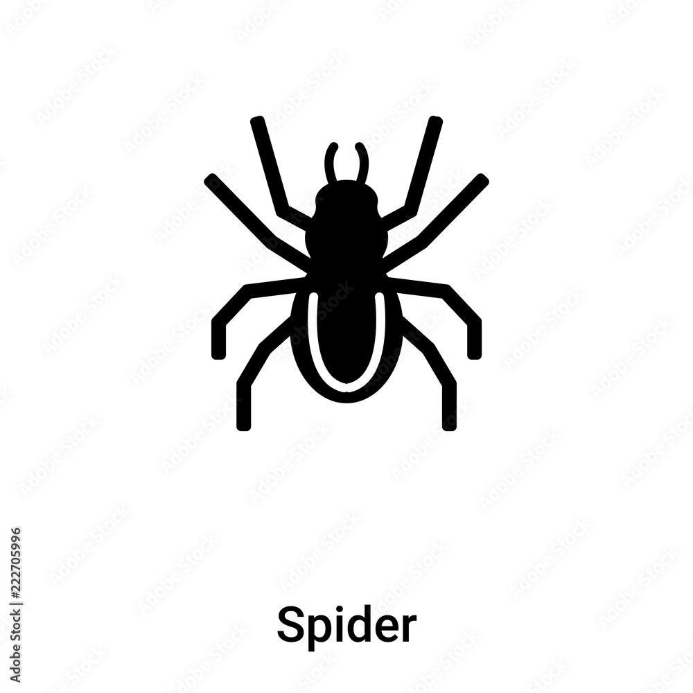 Spider icon vector isolated on white background, logo concept of Spider ...