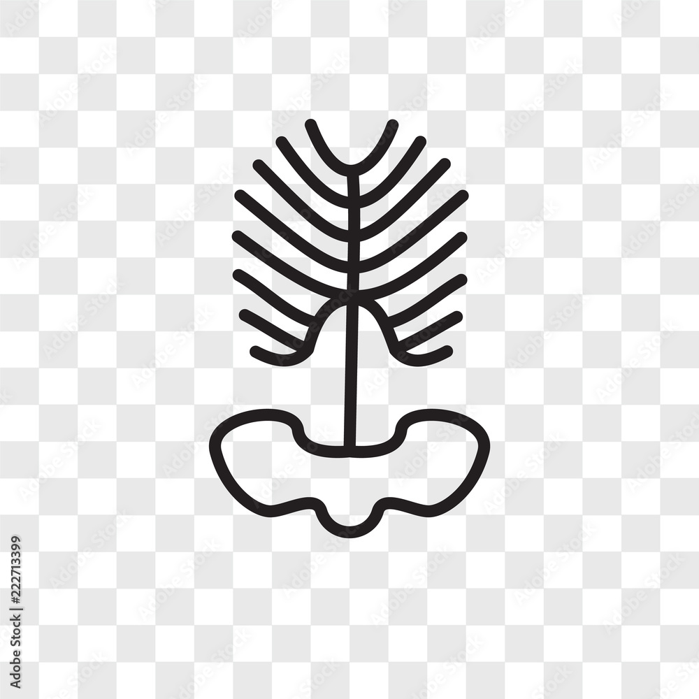 skeleton icons isolated on transparent background. Modern and editable ...