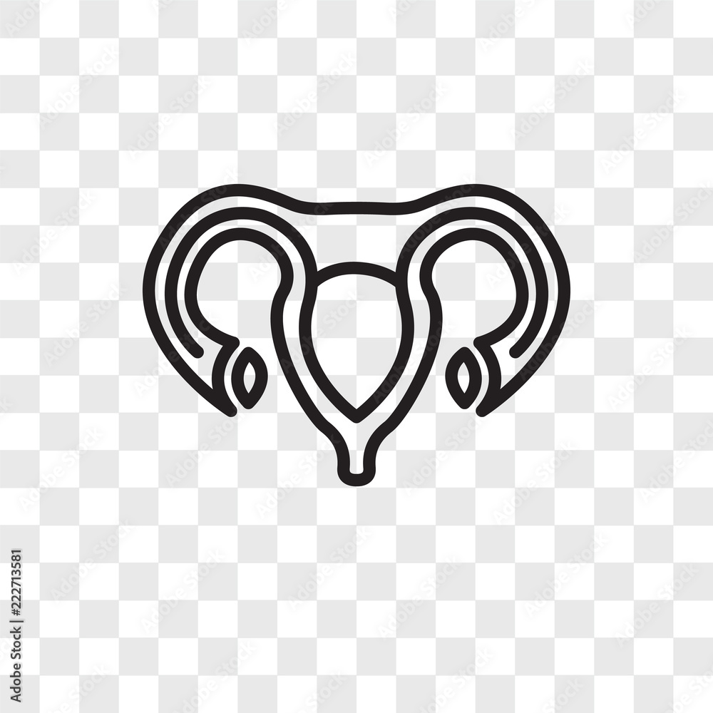 uterus icons isolated on transparent background. Modern and editable uterus icon. Simple icon ...
