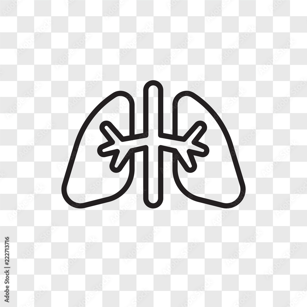 lungs icons isolated on transparent background. Modern and editable ...