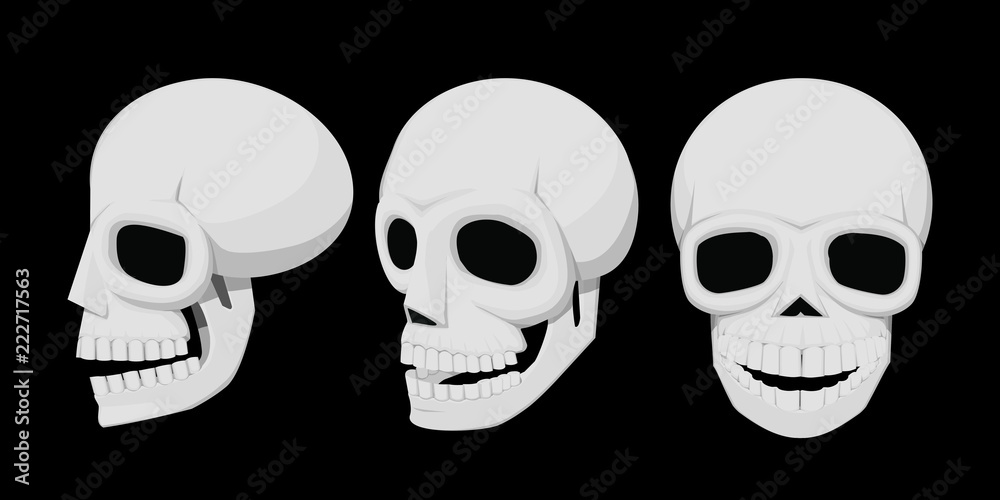 Isolate skull on transparent background Stock Vector | Adobe Stock