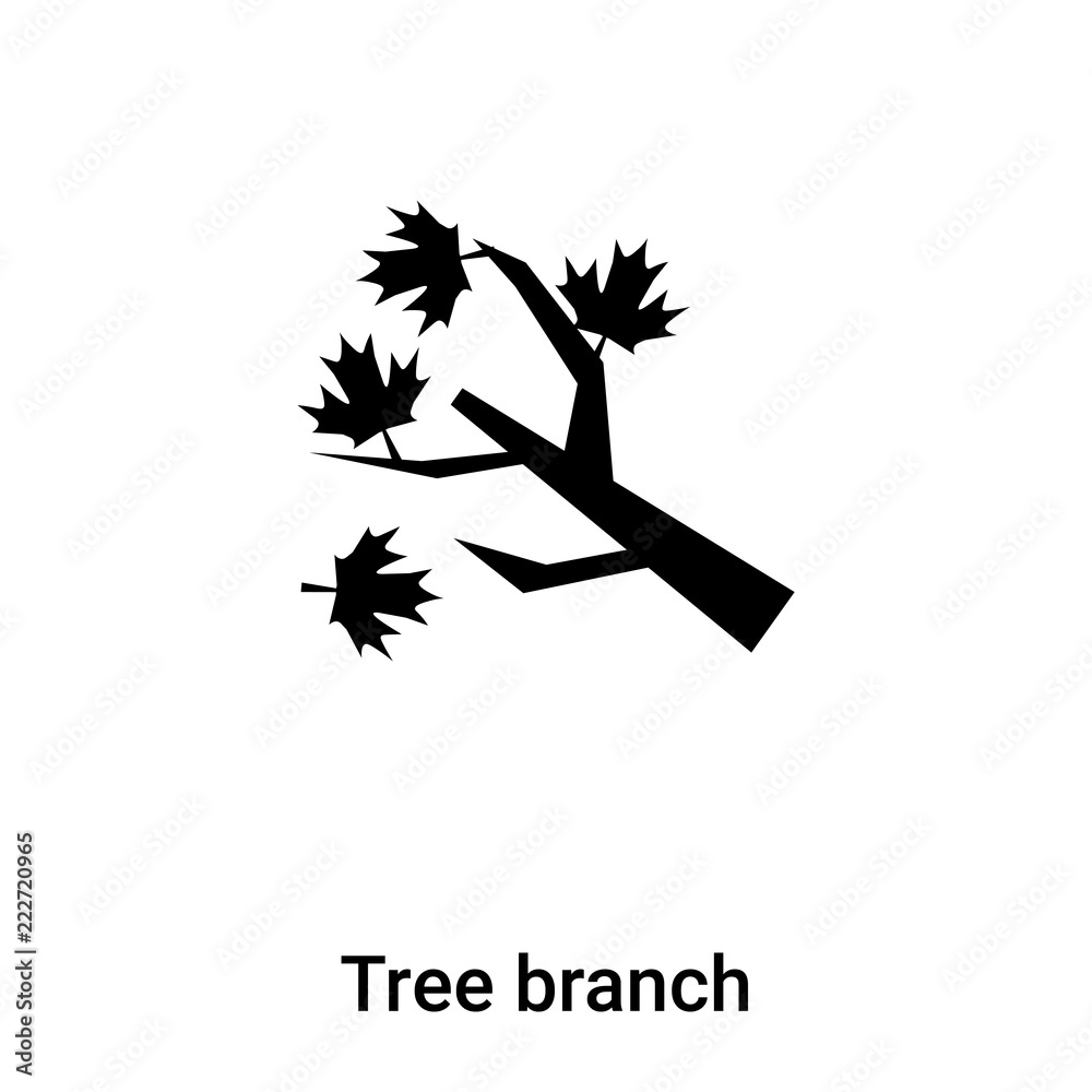 Tree branch icon vector isolated on white background, logo concept of ...