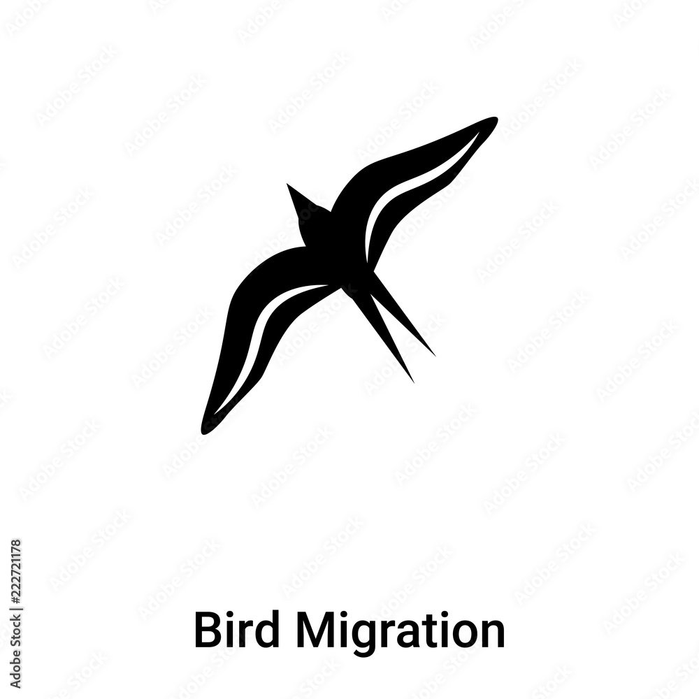 Bird Migration Icon