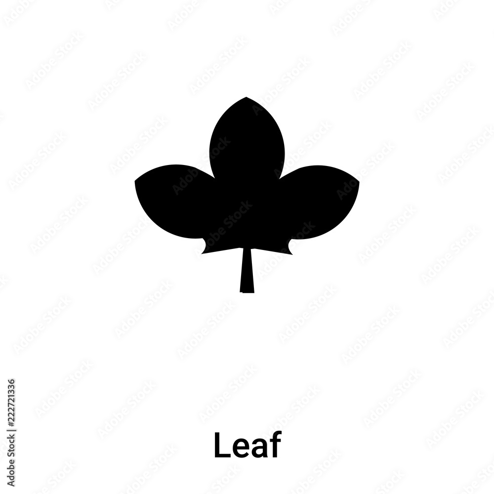 Leaf icon vector isolated on white background, logo concept of Leaf ...