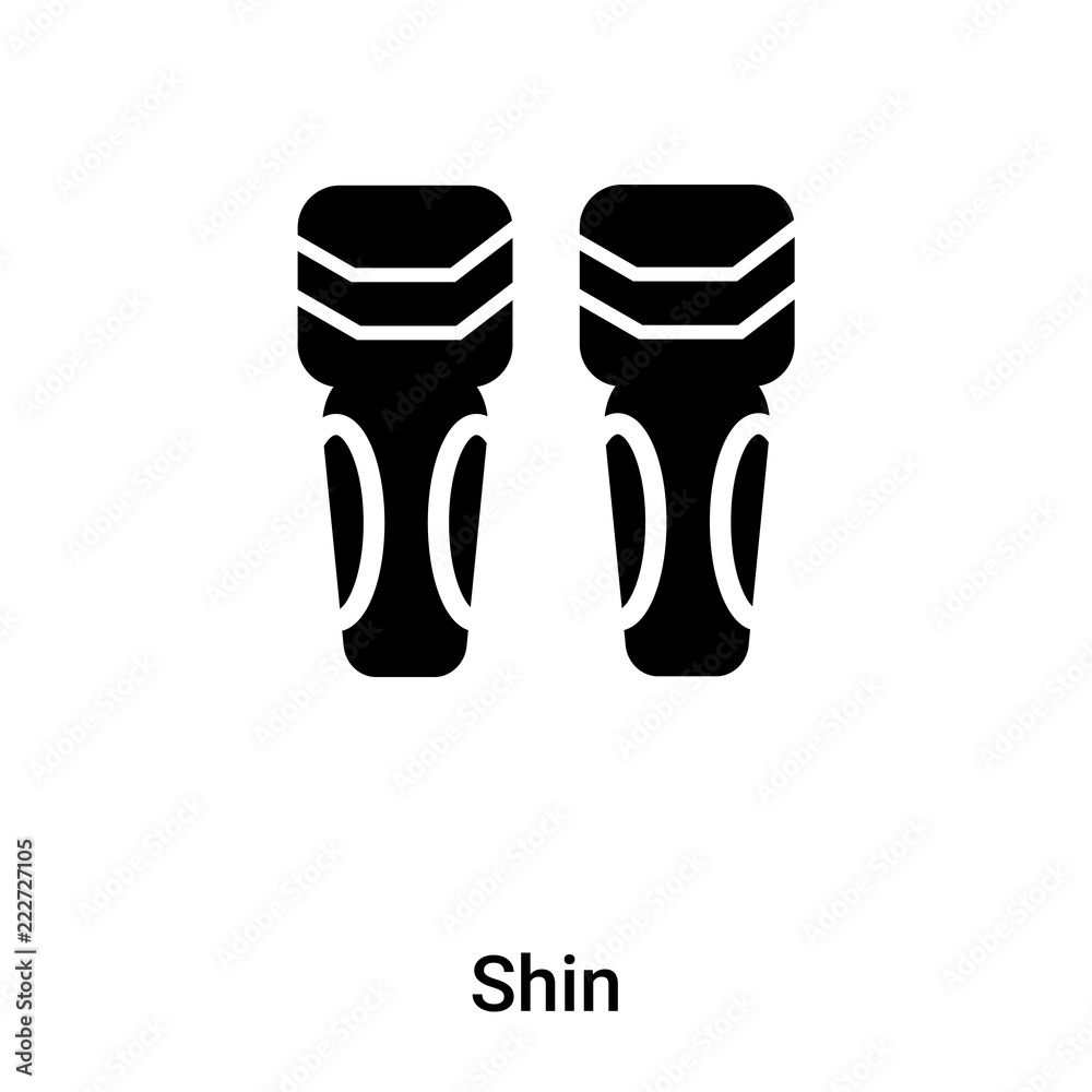 Shin icon vector isolated on white background, logo concept of Shin ...