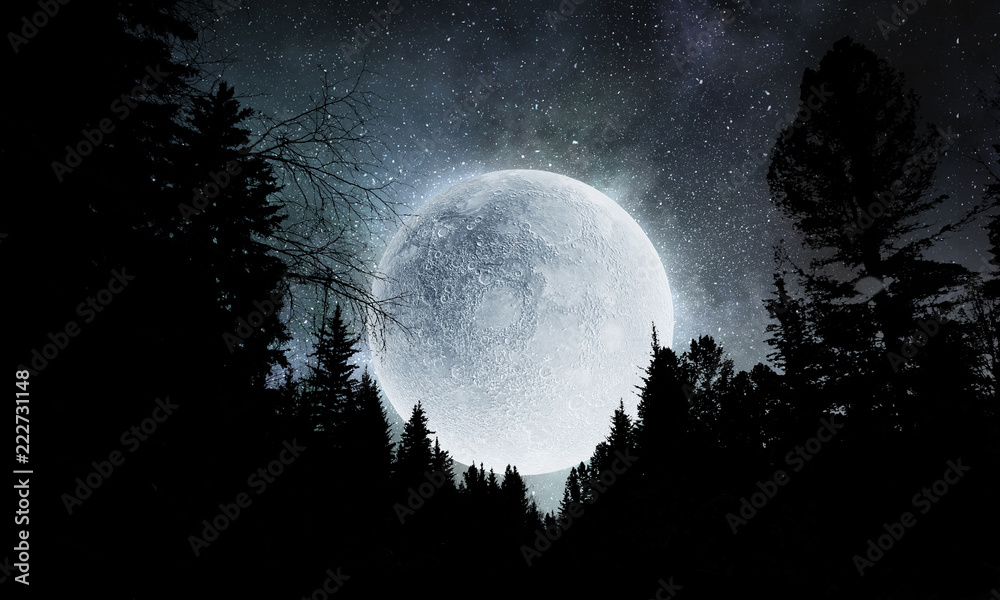Full moon in sky Stock Photo | Adobe Stock