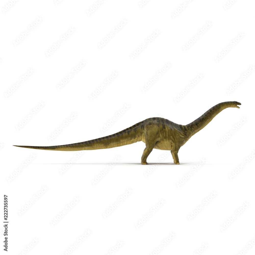 Apatosaurus Dinosaur model on white. Side view. 3D illustration Stock ...