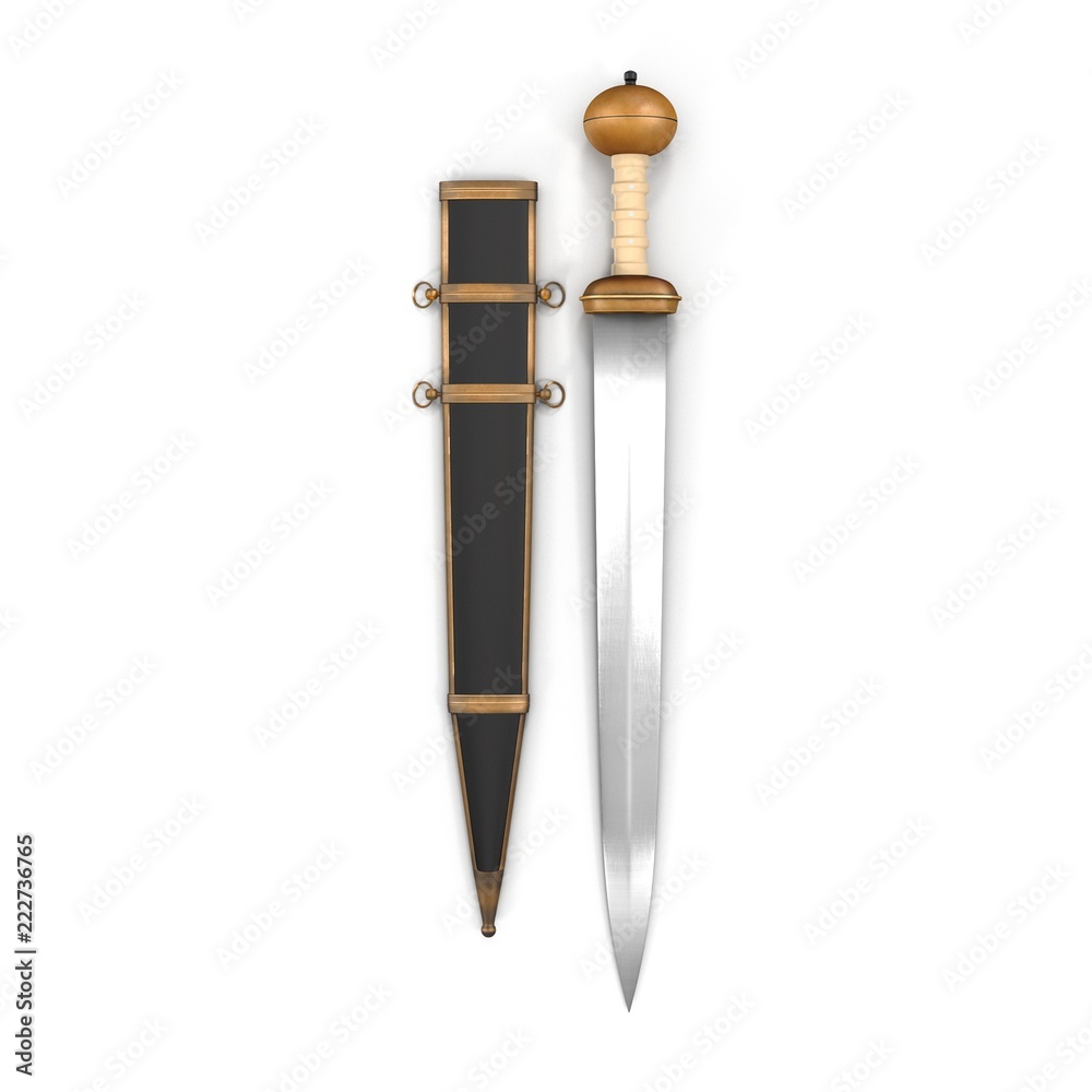 Roman Gladius Short Sword with Sheath on white. Top view. 3D ...