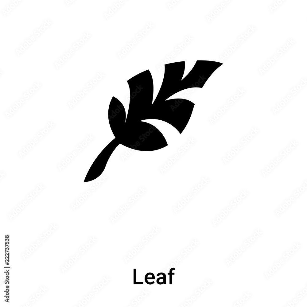 Leaf icon vector isolated on white background, logo concept of Leaf ...