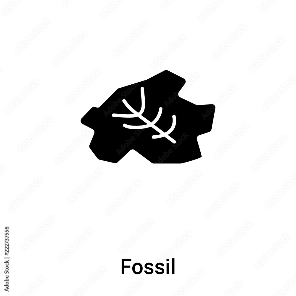 Fossil icon vector isolated on white background, logo concept of Fossil ...