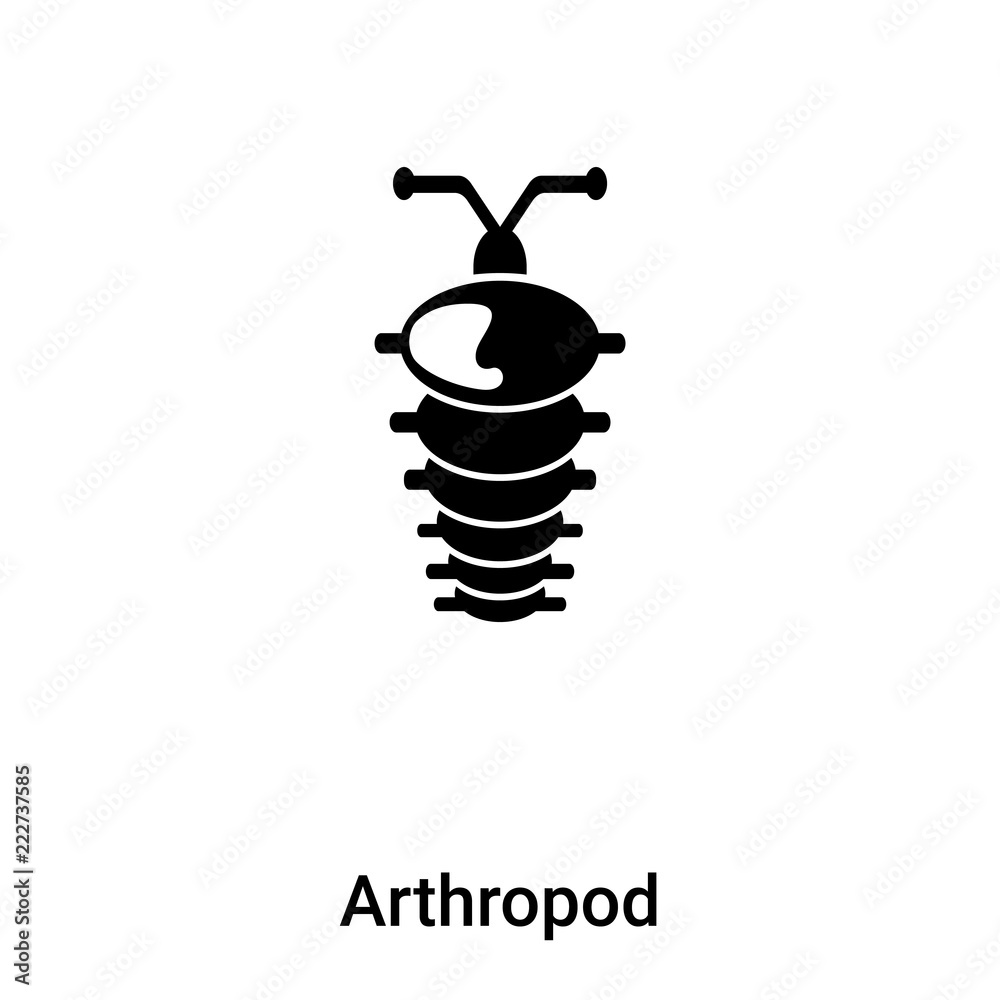 Arthropod icon vector isolated on white background, logo concept of ...