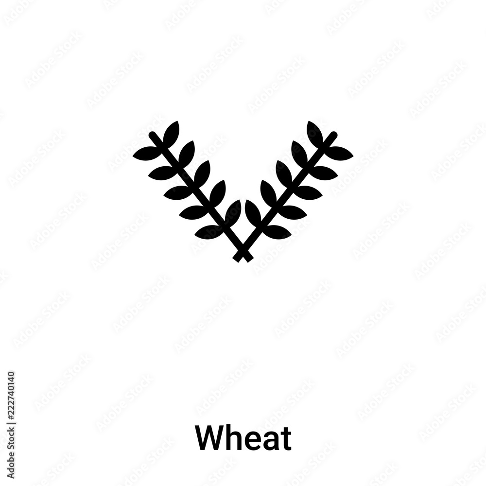 Wheat icon vector isolated on white background, logo concept of Wheat ...