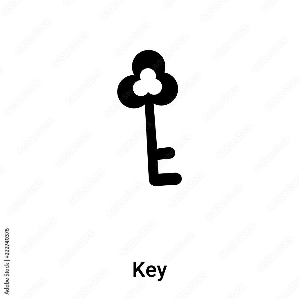 Key icon vector isolated on white background, logo concept of Key sign ...