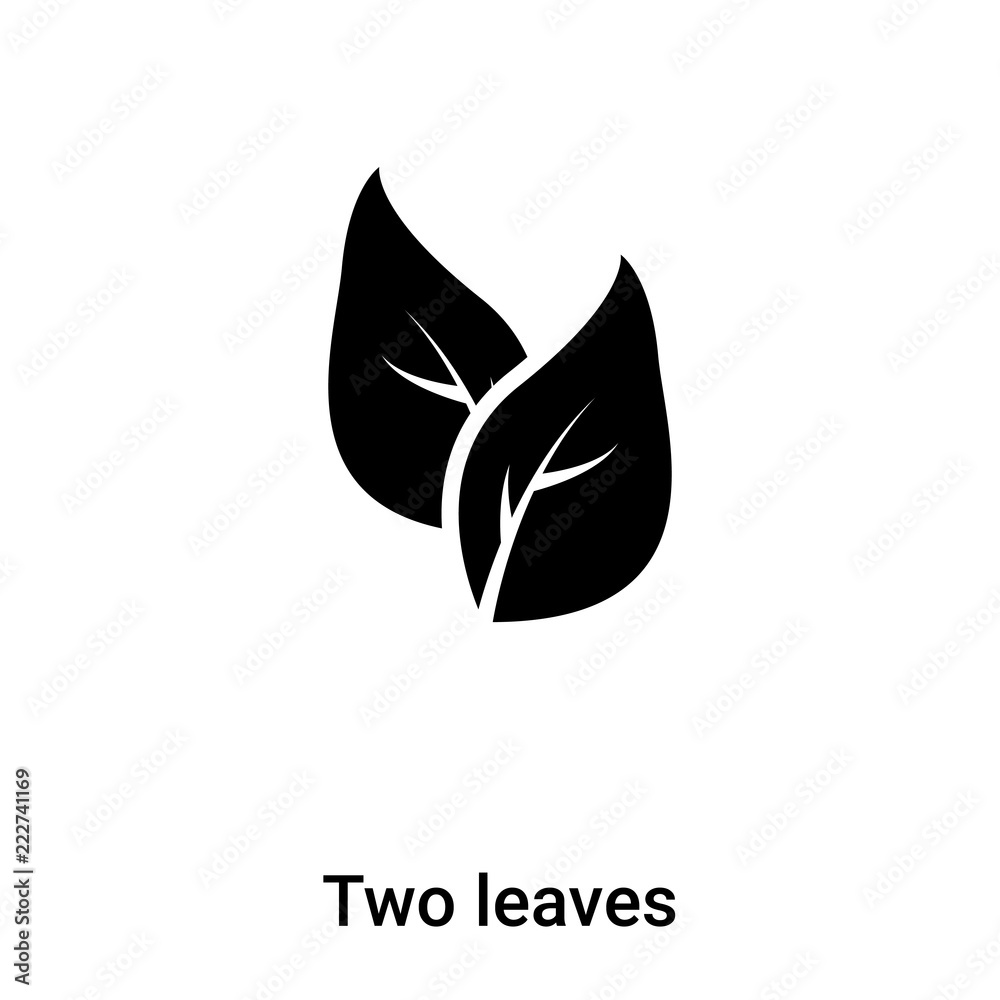 Leaf Icon Black And White