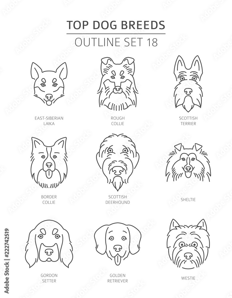 Top dog breeds. Pet outline collection. Vector illustration Stock ...